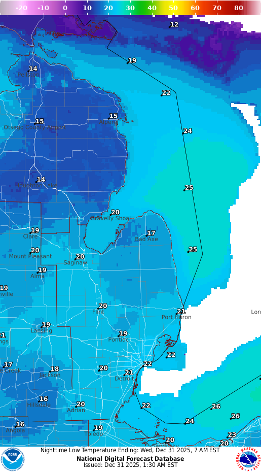 NOAA Graphical Forecast for Detroit, MI